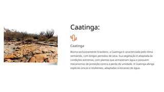 O-Meio-Ambiente-no-Brasil-Biomas-e-Suas-Caracteristicas-1.pptx