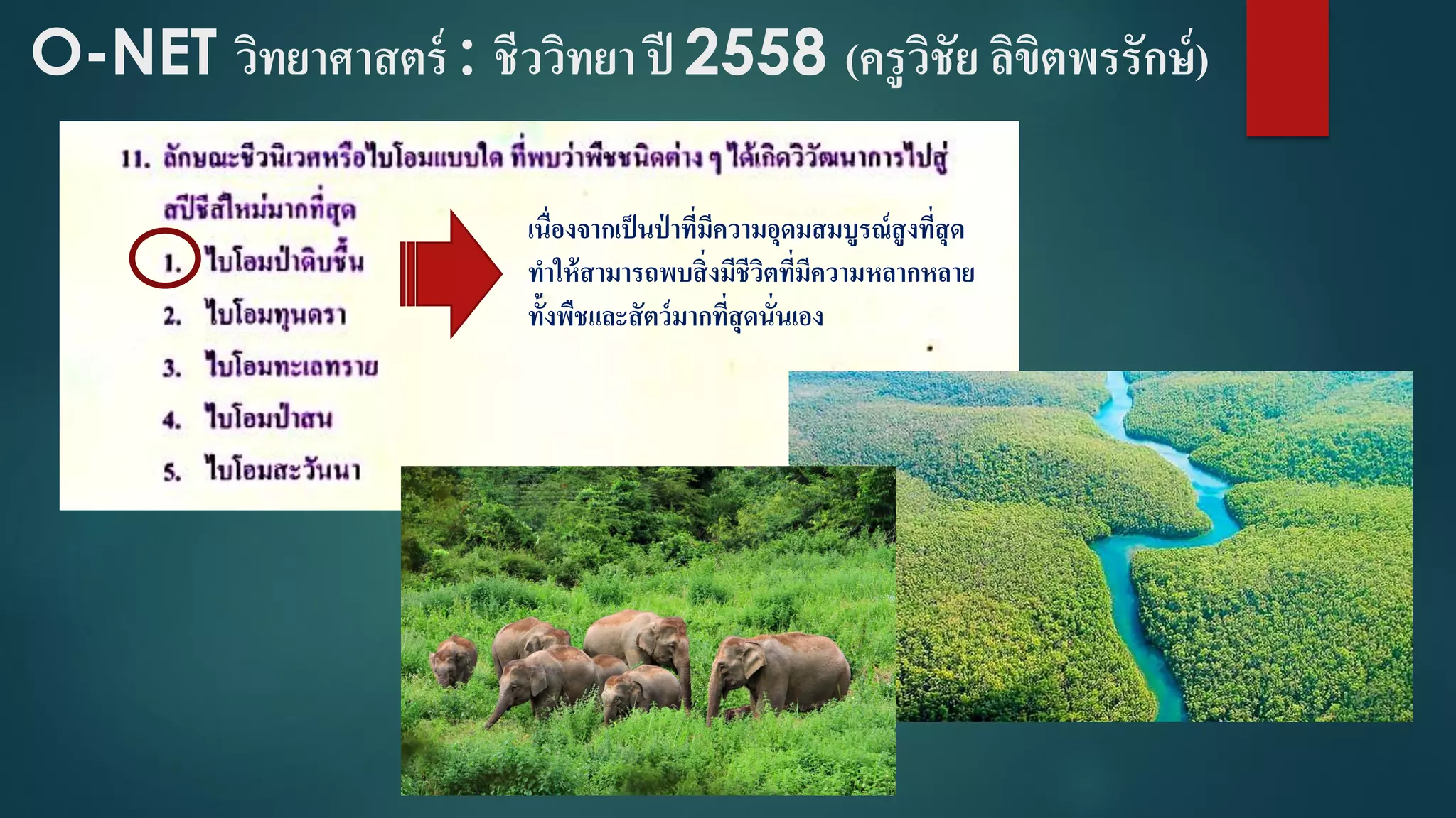 เฉลยO netวิทย์ชีวะ58 | PDF