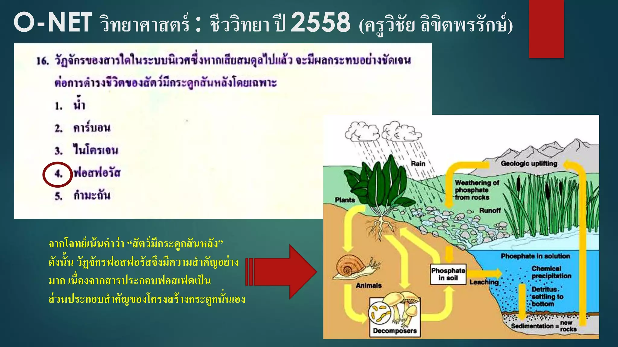 เฉลยO netวิทย์ชีวะ58 | PDF