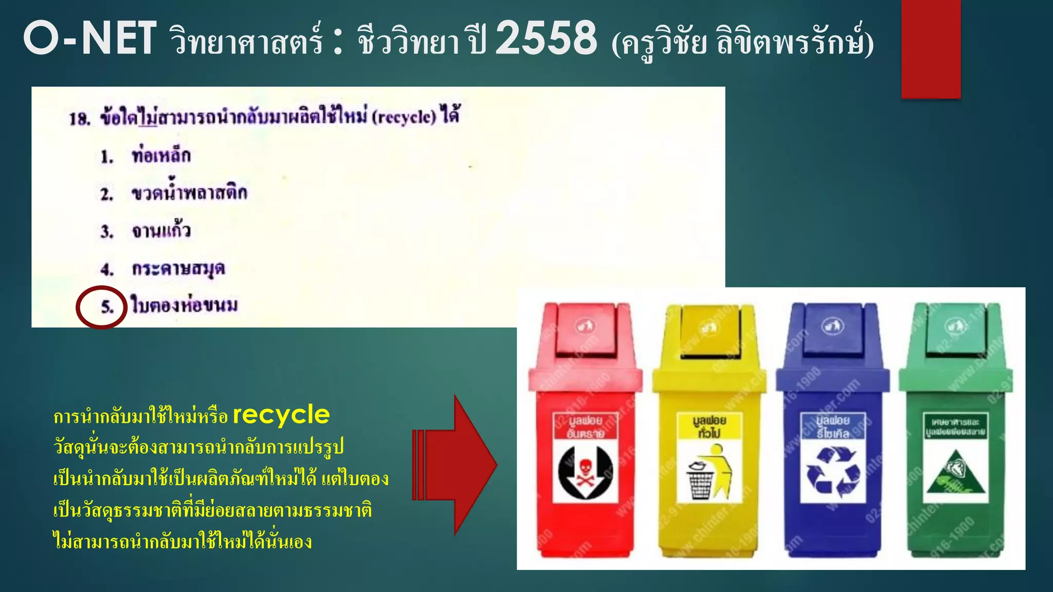 เฉลยO netวิทย์ชีวะ58 | PDF