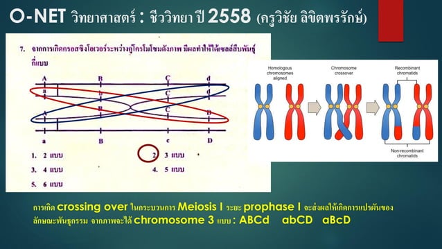 เฉลยO netวิทย์ชีวะ58 | PDF