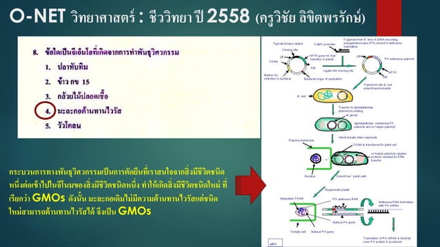 เฉลยO netวิทย์ชีวะ58 | PDF