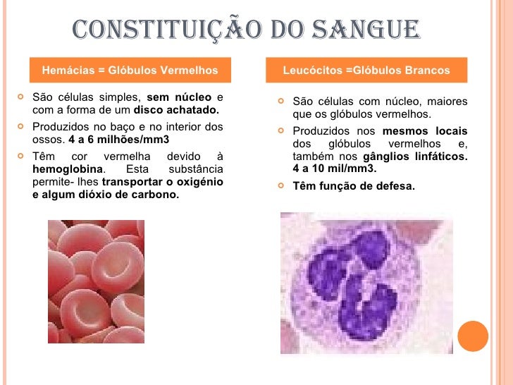 O Sangue