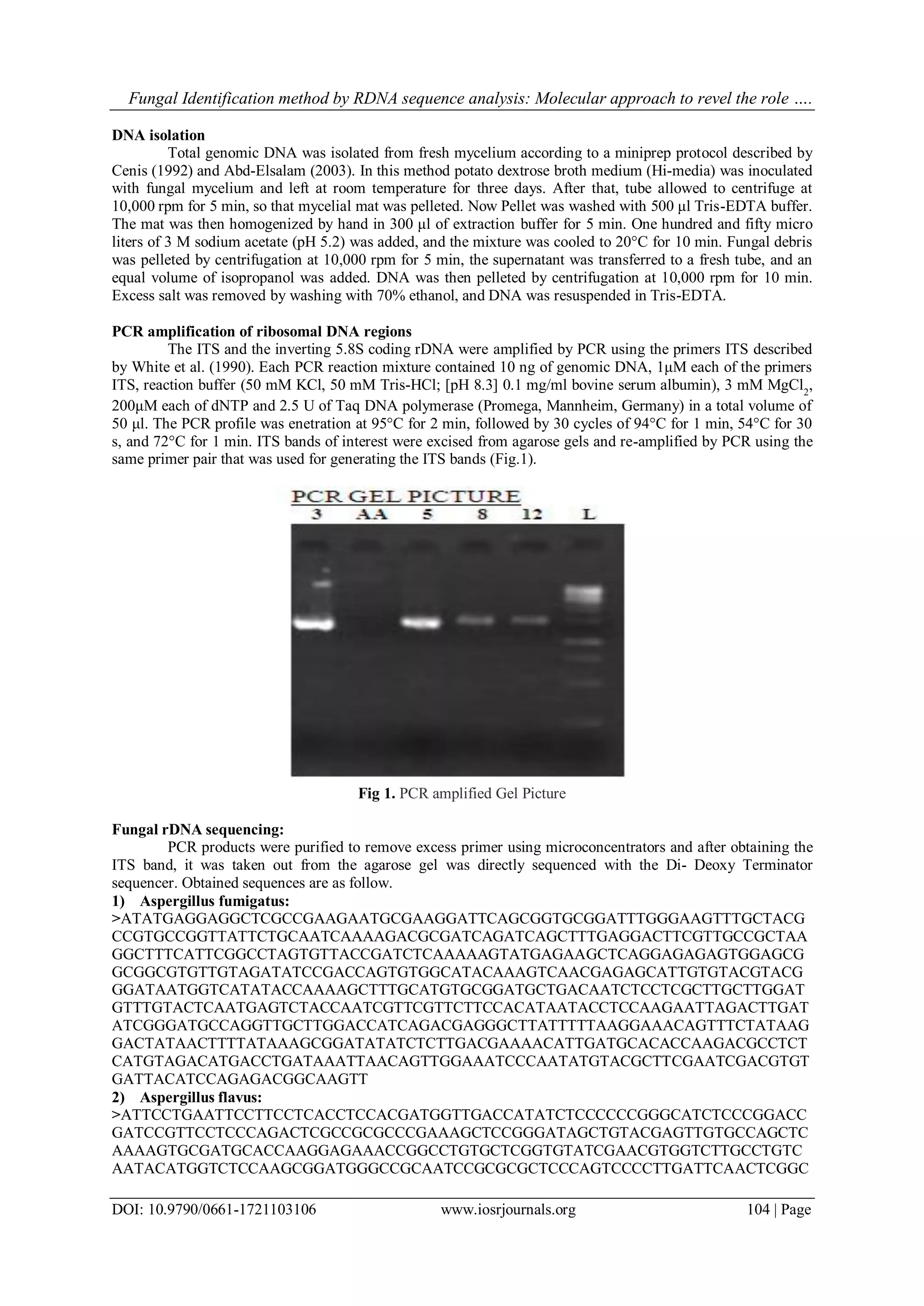 Fungal Identification method by RDNA sequence analysis: Molecular ...