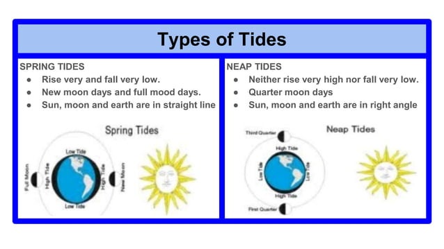 Class 7 chapter_5_water_surrounding_the_earth | PPTX | Geography | Science