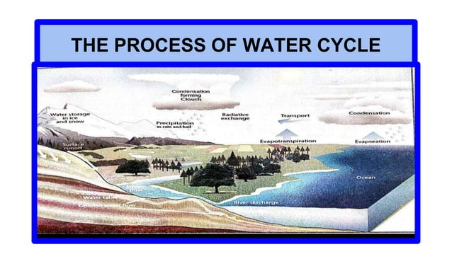 Class 7 chapter_5_water_surrounding_the_earth | PPTX | Geography | Science