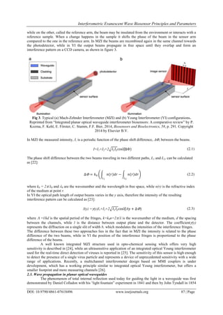 Interferometric Evanescent Wave Biosensor Principles and Parameters | PDF