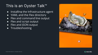 Flex Workshop, New Relic O11y Days | PPTX