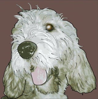 Opie Pop Art Pet Portrait | PDF