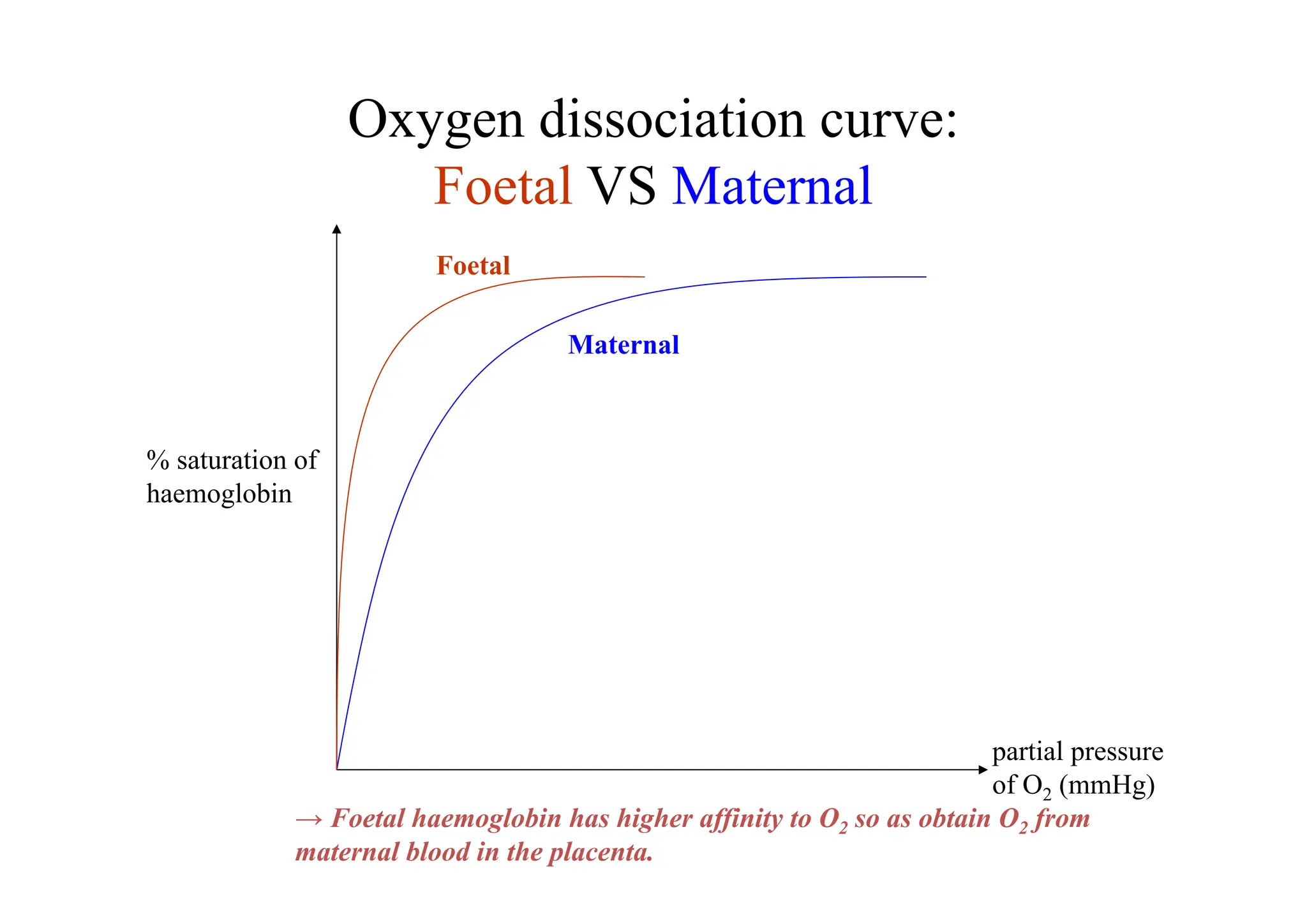 Oxygen and carbon di oxide transport. PDF | PPT