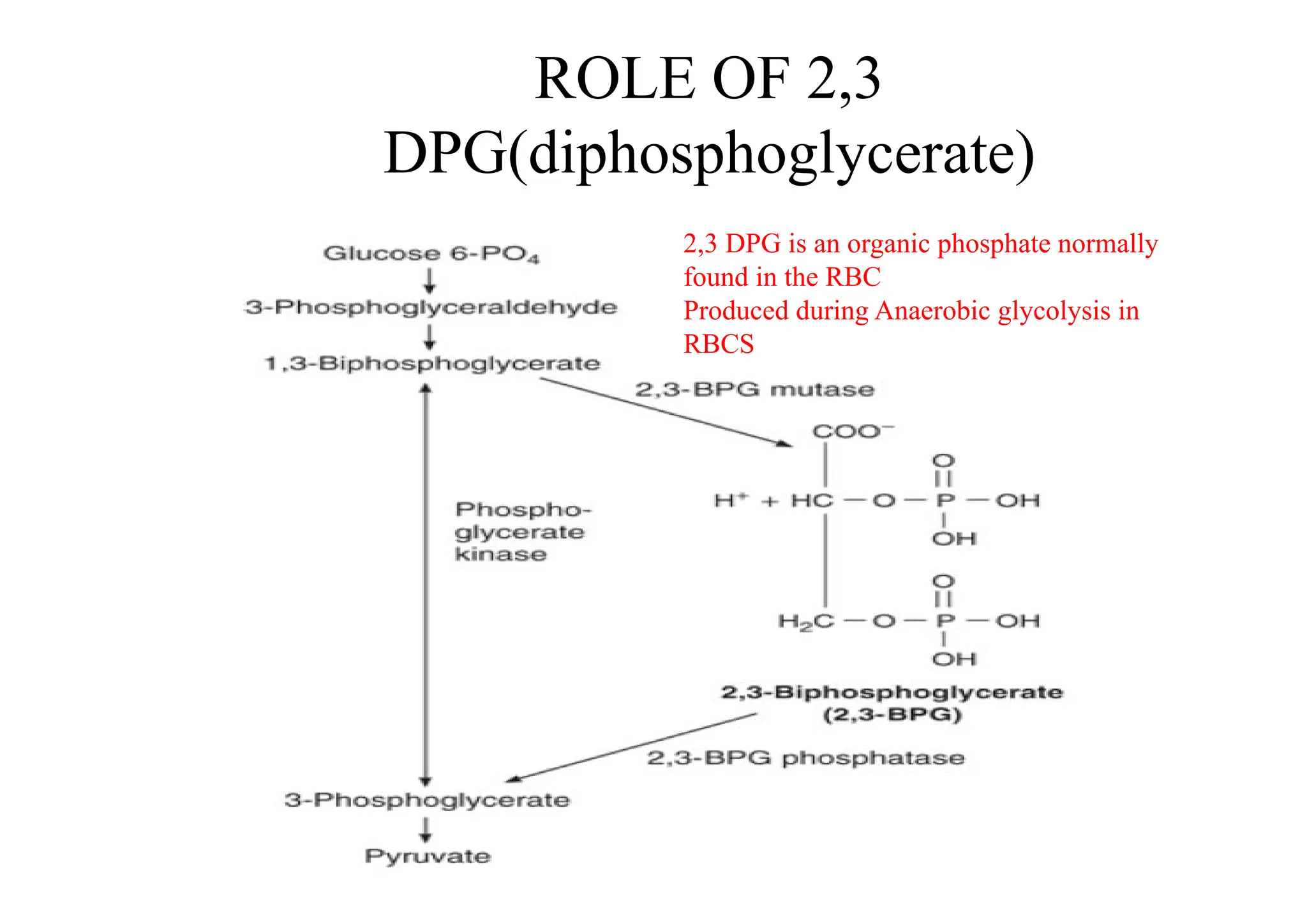 Oxygen and carbon di oxide transport. PDF | PPT