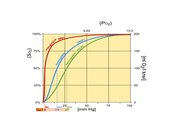 Oxygen and carbon di oxide transport. PDF | PPT