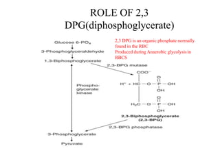 O2 and co2-transport | PPTX