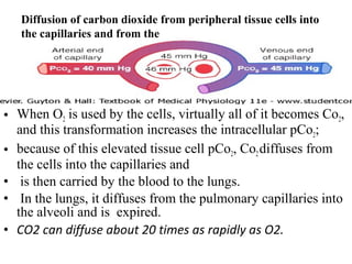 O2 and CO2 transport by M. Pandian | PPT
