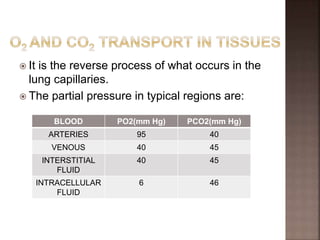 O2 and CO2 transport in blood and tissues | PPT