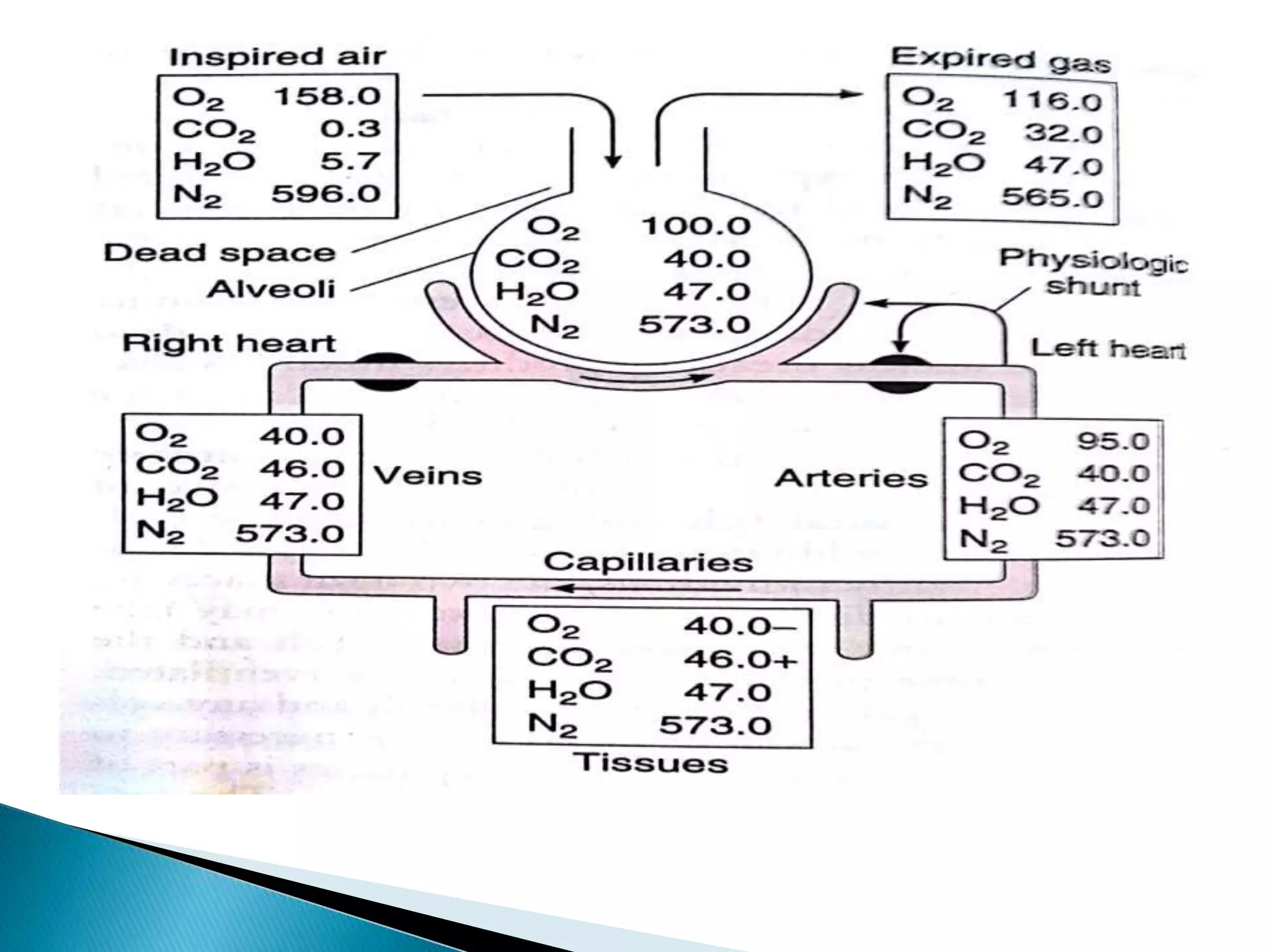 O2 cascade flux n odc | PPTX