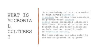 o2 requirements of microbial culture.pptx
