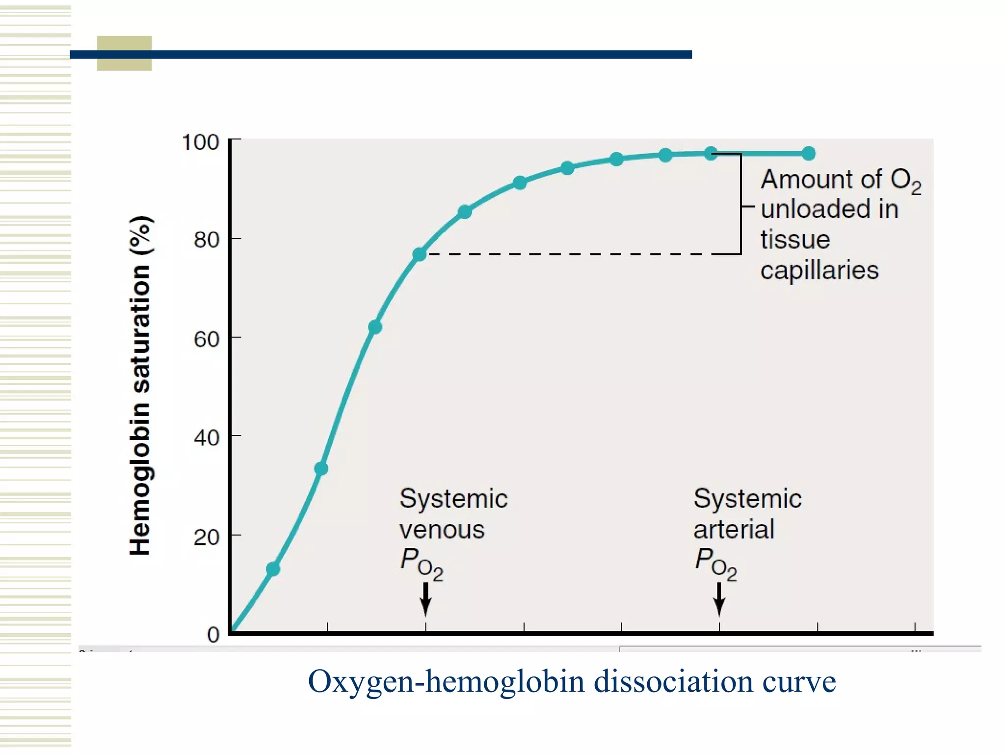 Physiology Of O2 Transport And O2 Dissociation Curve Ppt Lung And