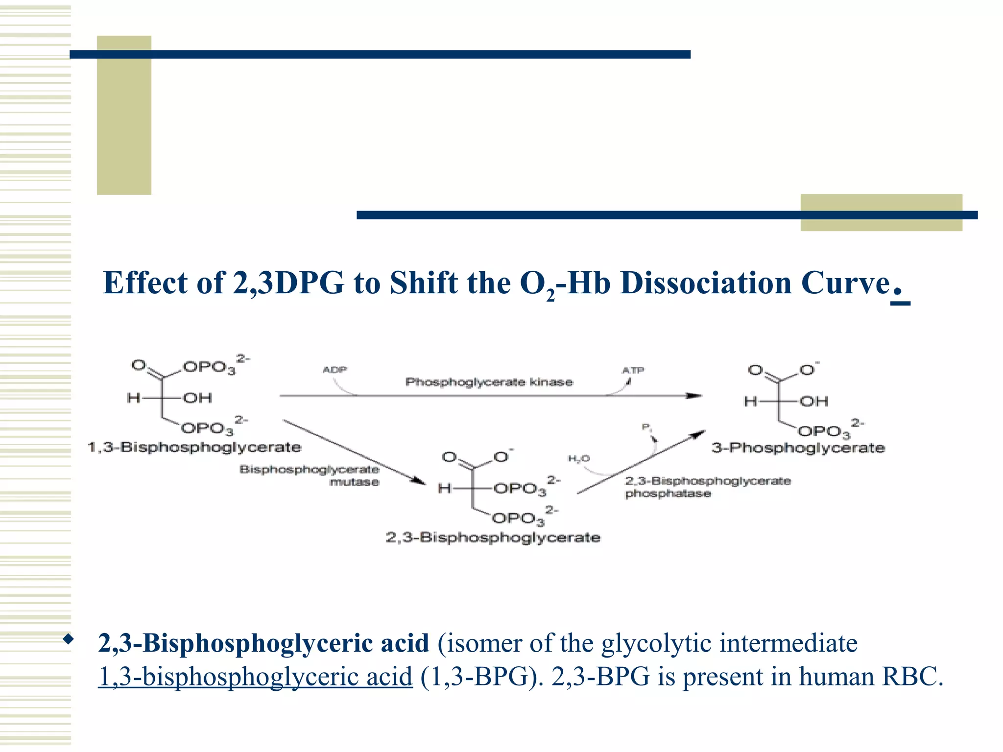 Physiology of O2 transport & O2 Dissociation Curve | PPT