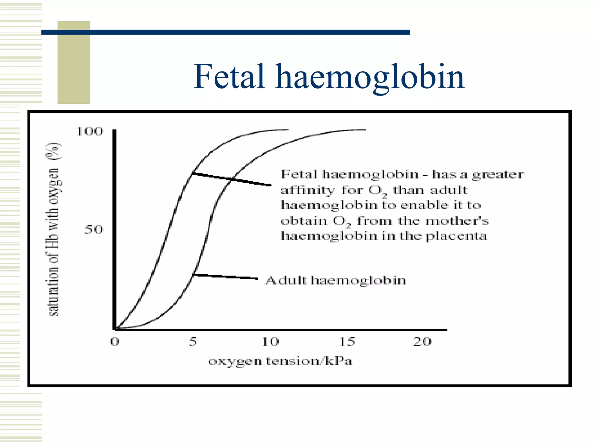 Physiology Of O2 Transport And O2 Dissociation Curve Ppt Lung And