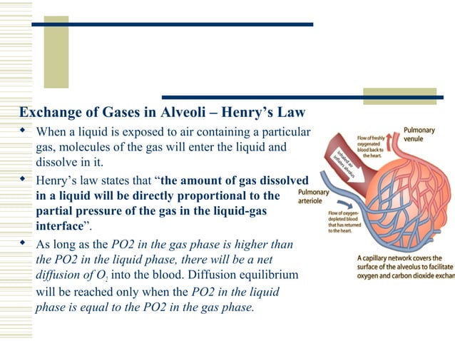 Physiology Of O2 Transport And O2 Dissociation Curve Ppt Lung And