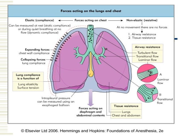 Physiology Of O2 Transport And O2 Dissociation Curve Ppt Lung And