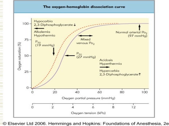 Physiology Of O2 Transport And O2 Dissociation Curve