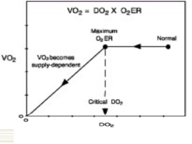 Physiology Of O2 Transport And O2 Dissociation Curve