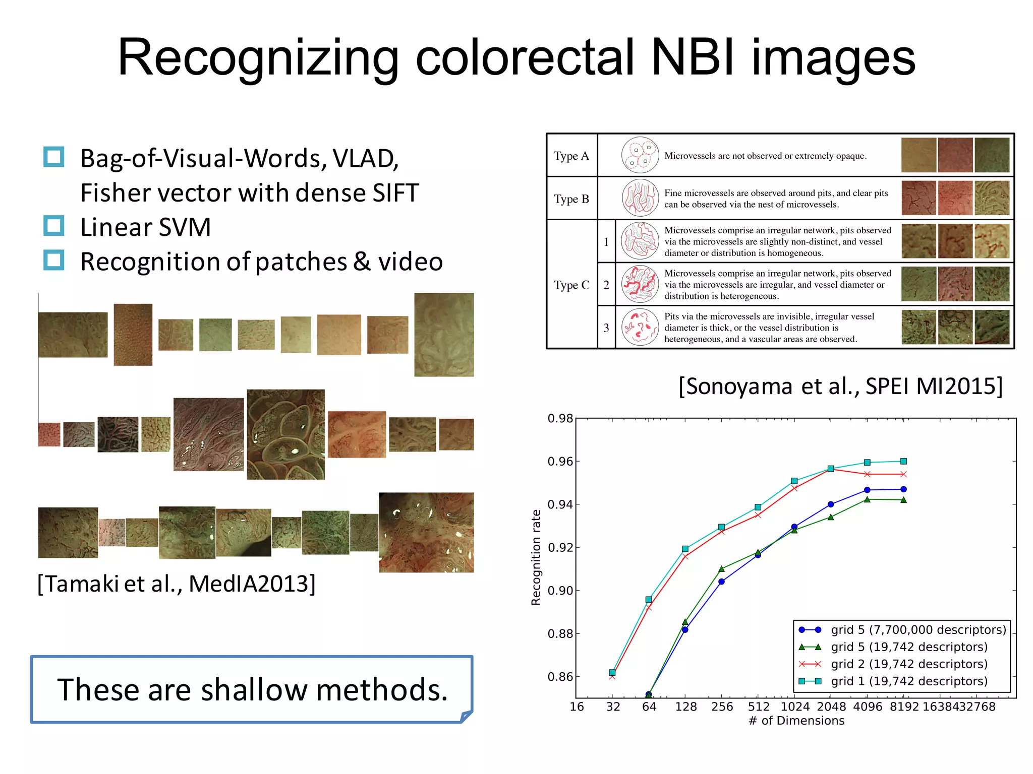 Computer-Aided Colorectal Tumor Classification in NBI Endoscopy Using ...