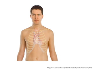 Computer-Aided Colorectal Tumor Classification in NBI Endoscopy Using ...