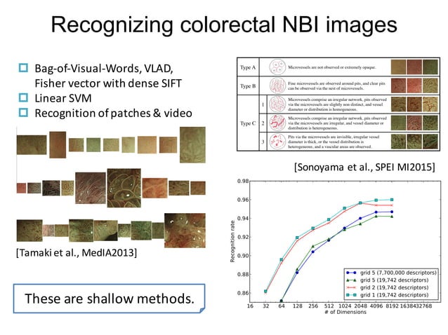 Computer-Aided Colorectal Tumor Classification in NBI Endoscopy Using ...