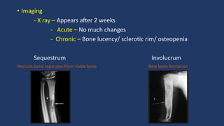 Infections in Orthopedics - how to mange | PPTX