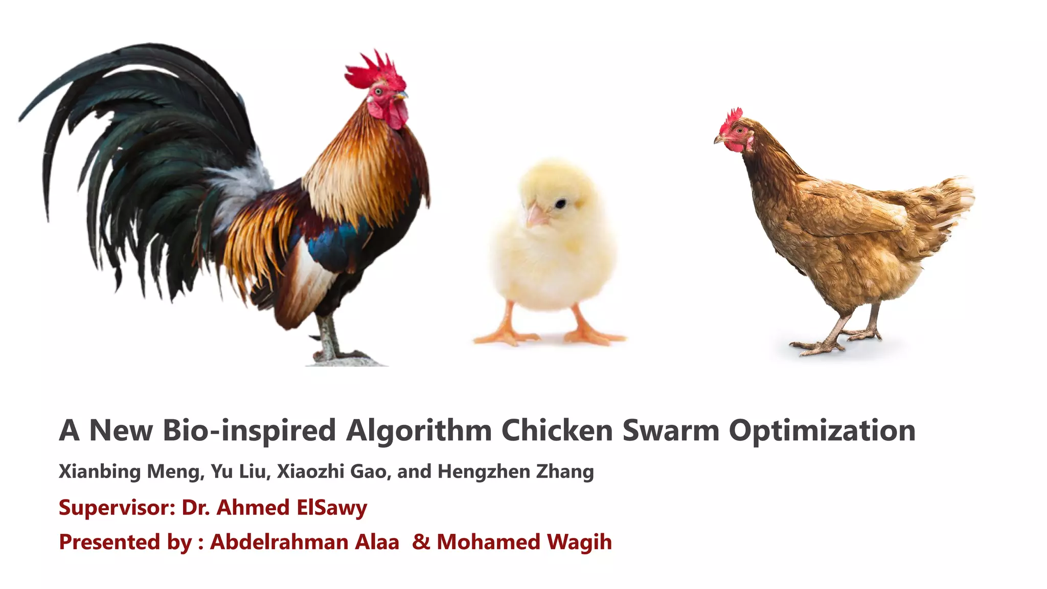 Chicken swarm optimization (CSO) | PDF