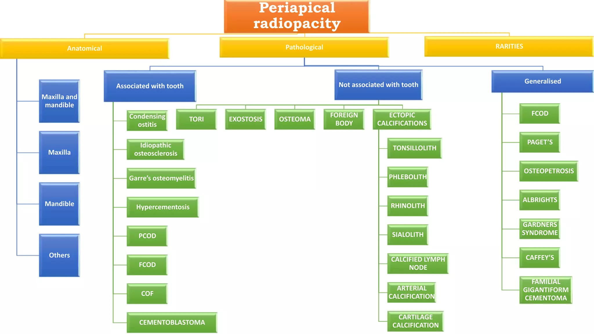 periapical radiopacities | PPTX