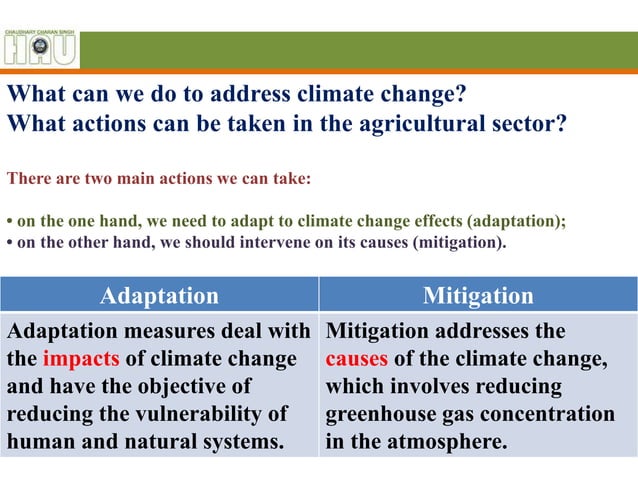 Strategies for Mitigation and Adaptation in Agriculture in context to ...