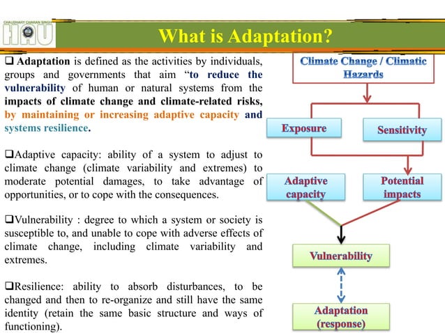 Strategies for Mitigation and Adaptation in Agriculture in context to ...