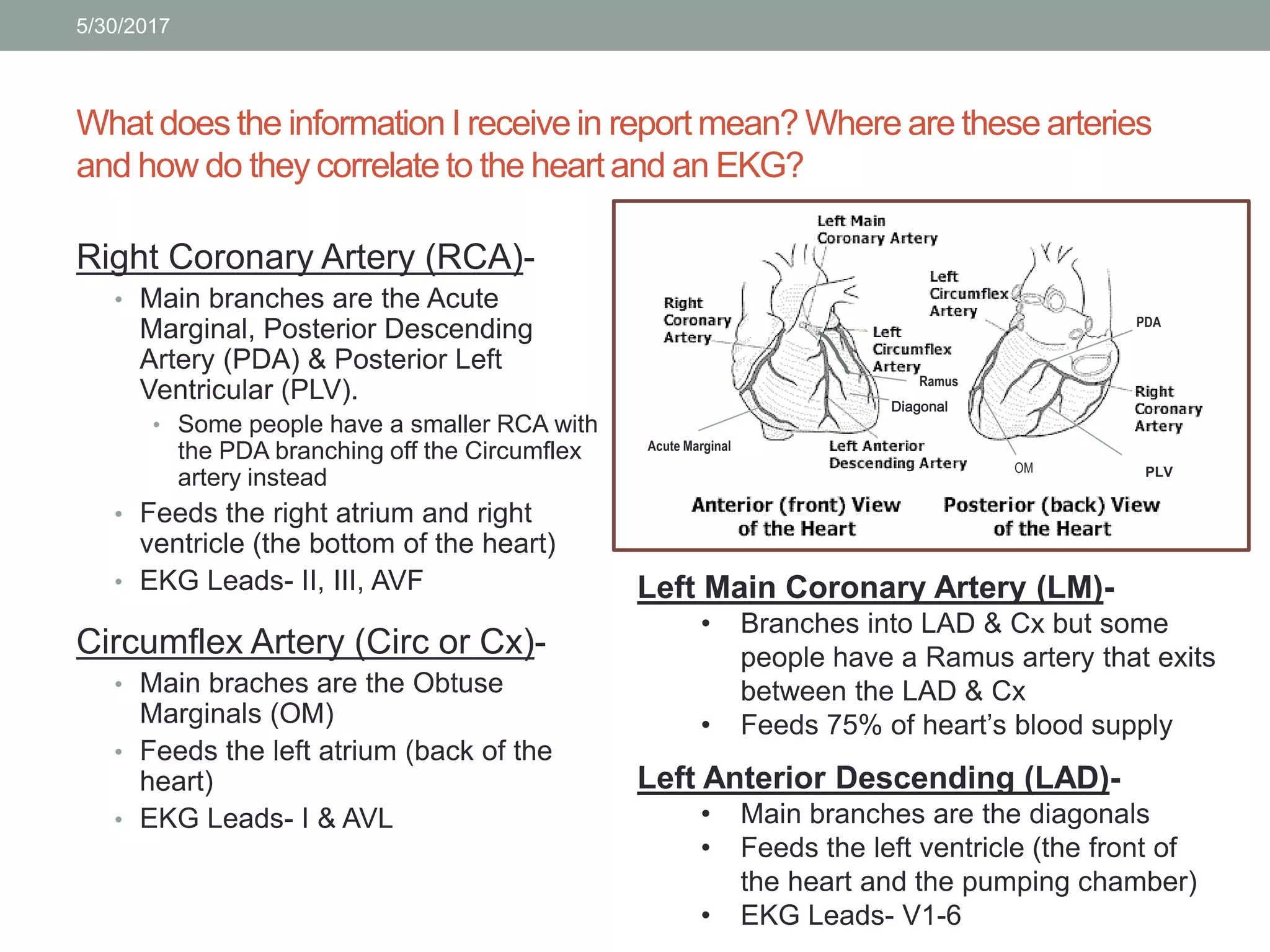 Care of the cardiac procedure patient | PDF