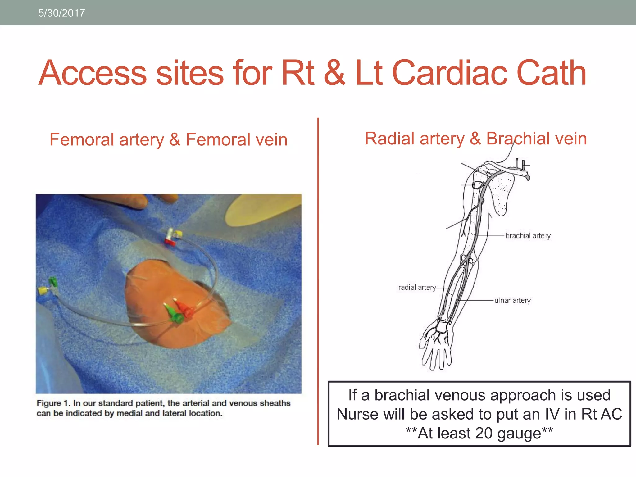 Care of the cardiac procedure patient | PDF