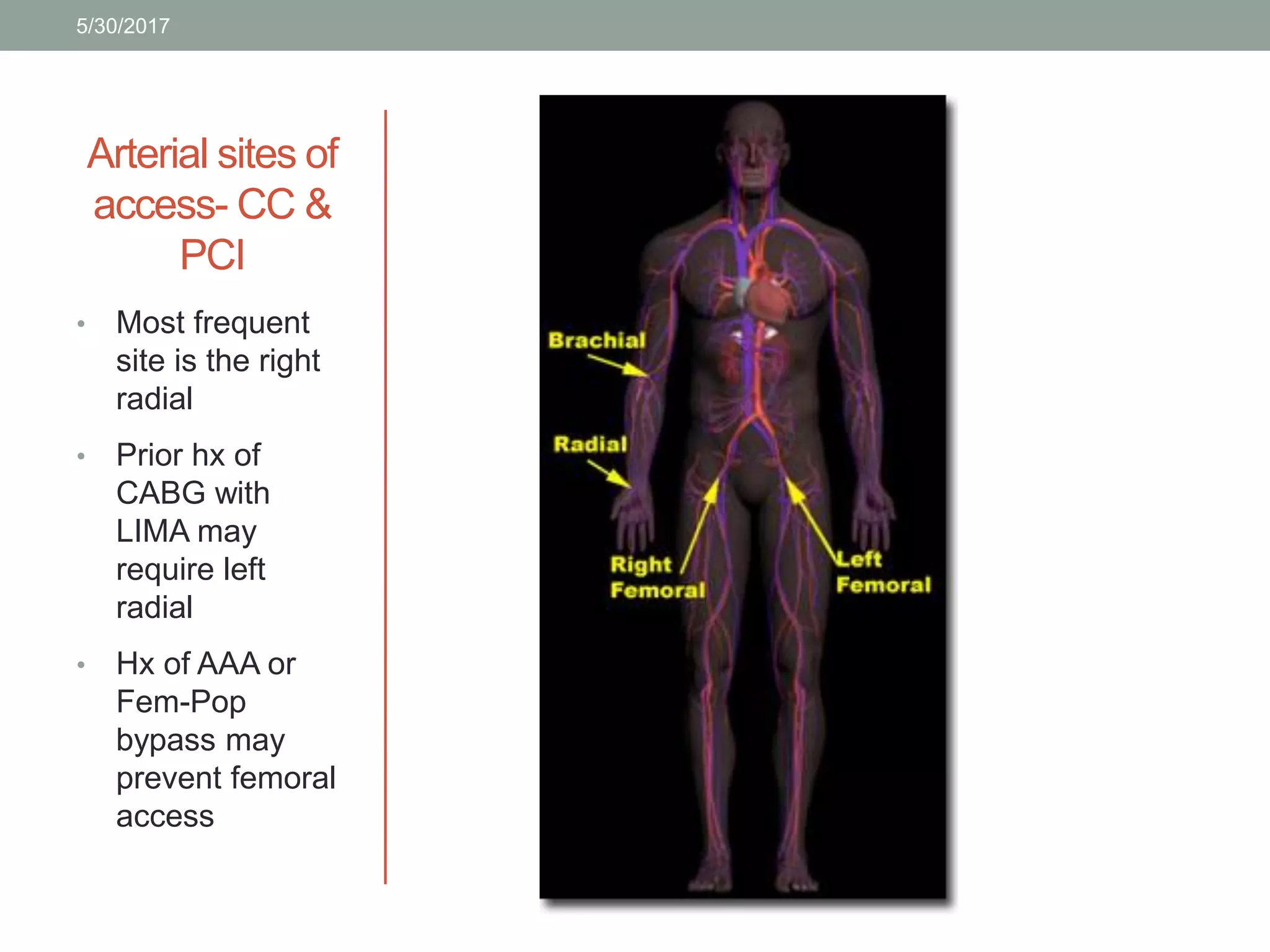 Care of the cardiac procedure patient | PDF
