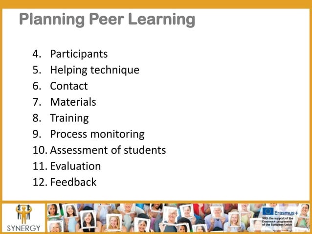 SYNERGY Induction to Pedagogy Programme - Criteria of Peer Learning (ENGLISH) | PDF