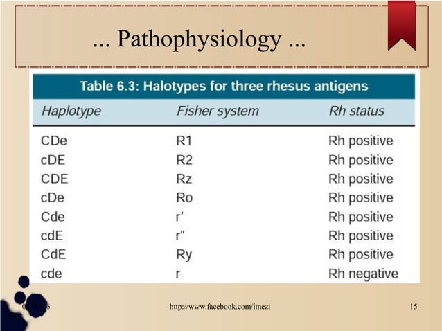 Management of Rh negative pregnancy | PPT