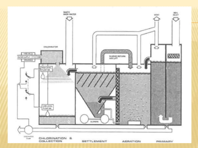 Sewage treatement plant | PPTX