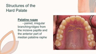 OA-LEC-1-Introduction-oral-cavity-and-paraoral-tissues.pdf
