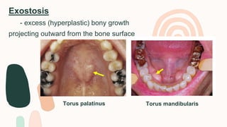 OA-LEC-1-Introduction-oral-cavity-and-paraoral-tissues.pdf