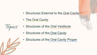 OA-LEC-1-Introduction-oral-cavity-and-paraoral-tissues.pdf