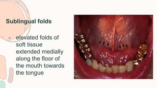 OA-LEC-1-Introduction-oral-cavity-and-paraoral-tissues.pdf
