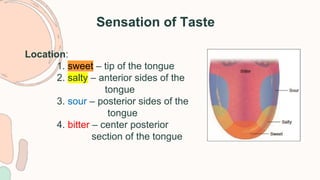 OA-LEC-1-Introduction-oral-cavity-and-paraoral-tissues.pdf