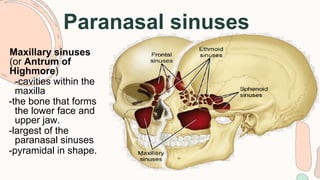 OA-LEC-1-Introduction-oral-cavity-and-paraoral-tissues.pdf