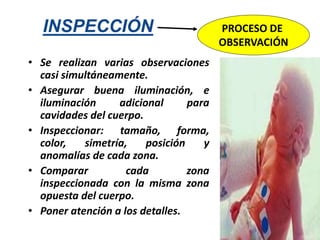 1EX_FISICO_Y_POSICIONES.pptx