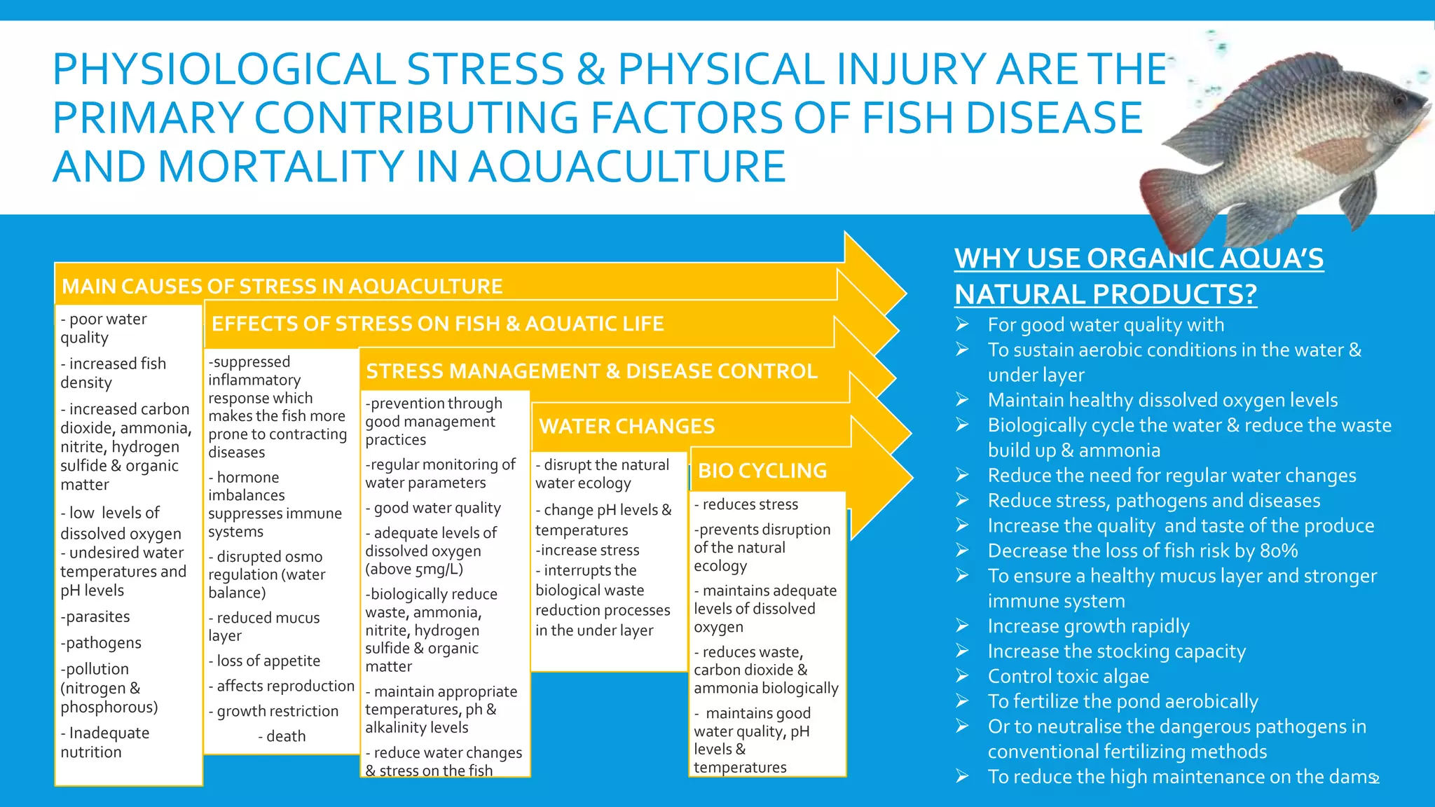 ORGANIC AQUA - AQUACULTURE | PPSX